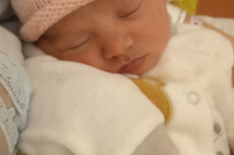 IL 2023 SI COLORA DI ROSA: AMBRA, MARGHERITA E GIULIA SONO LE PRIME ...