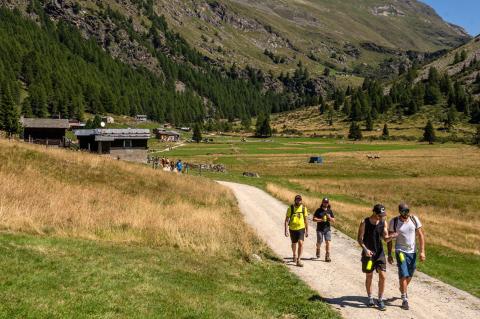 Estate 2026: torna il collegamento bus per la Val di Rezzalo ...